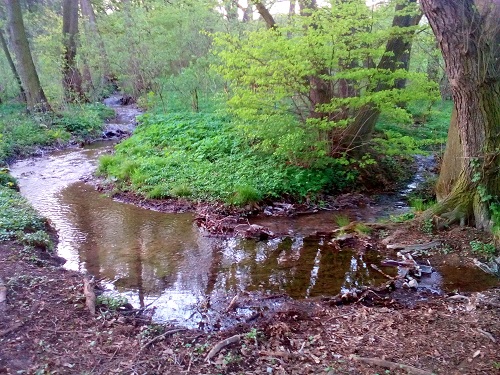 RBC Zalužanský potok :: 100+1 zajímavostí v Krupce